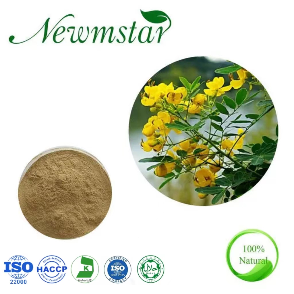 Cassia Occidentalis Extract Cassia Occidentalis Extract Powder Cassia ...