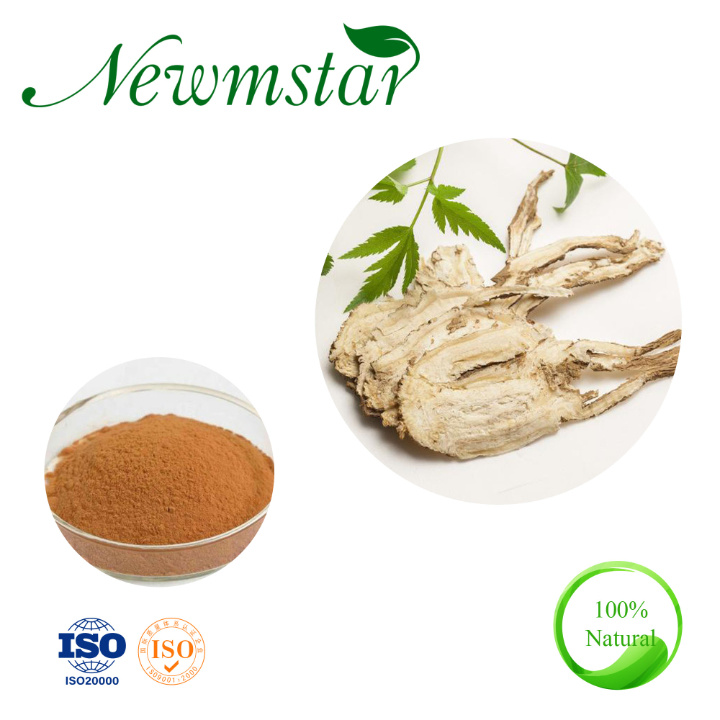 Body Immunity Angelica Archangelica Extract Angelica Root Extract ...